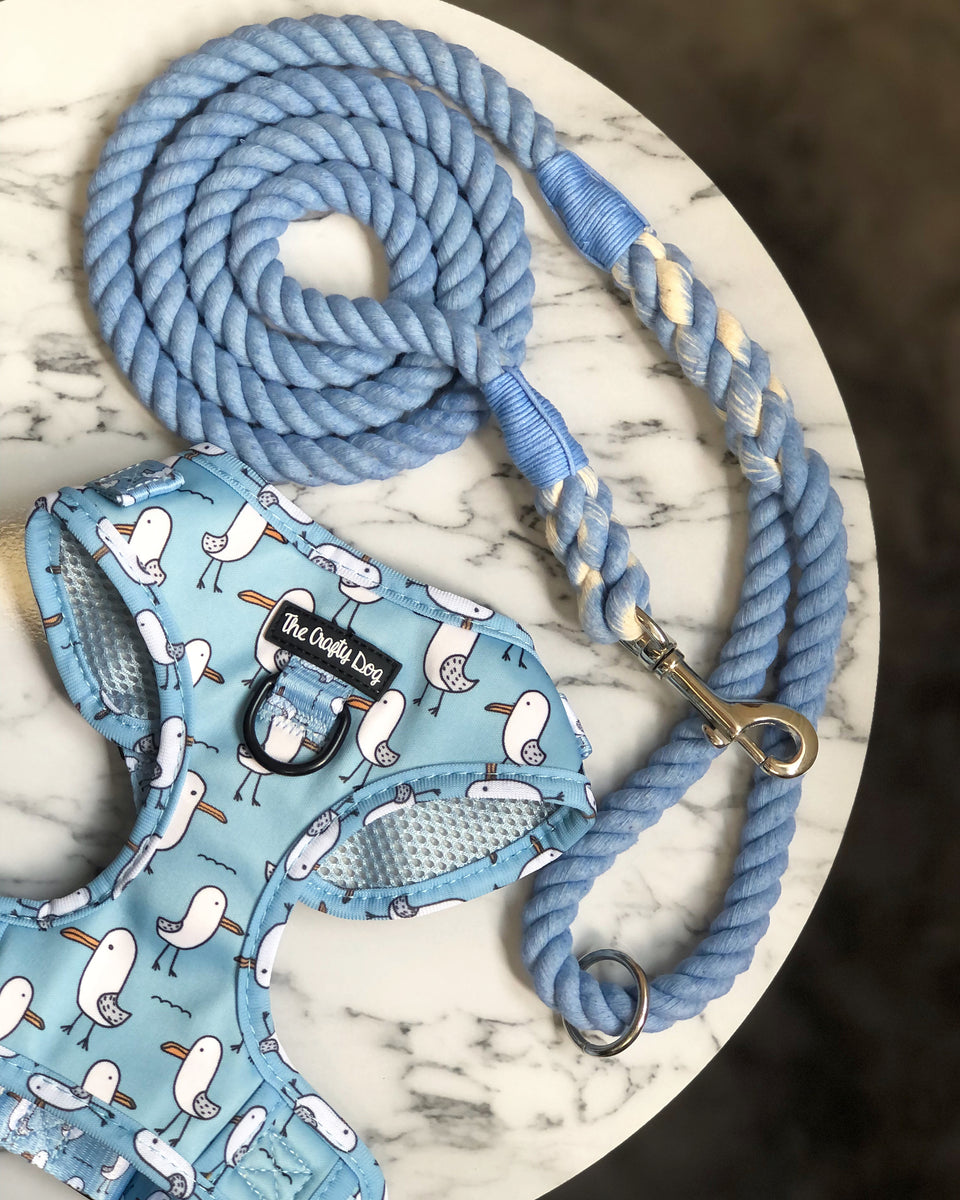 Sky Rope Lead – TheCraftyDogCo