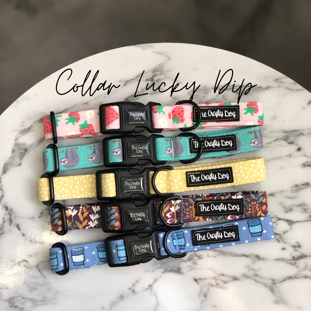 TikTok Collar Lucky Dip! – TheCraftyDogCo